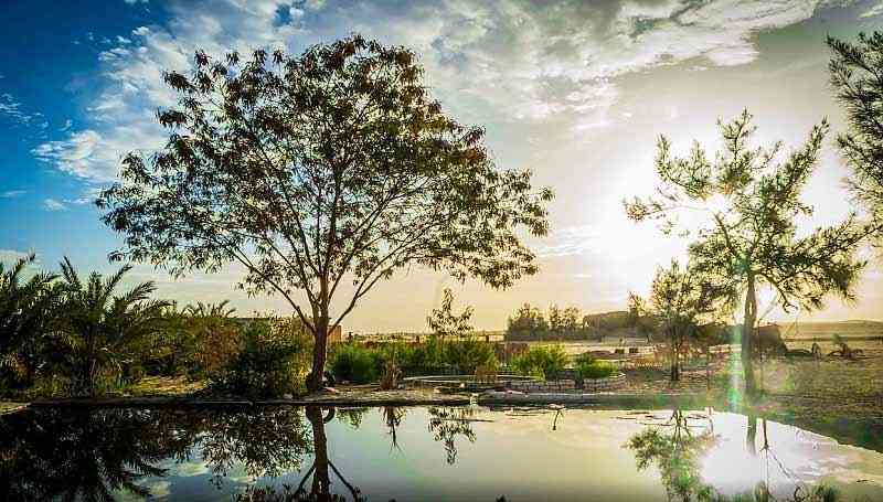 Siwa Oasis, Land Of Palm Trees – Rocky Family Tours